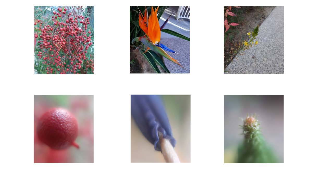 MRSEC Materials Science Educational Kits: Silicone micro-lens – UC San ...