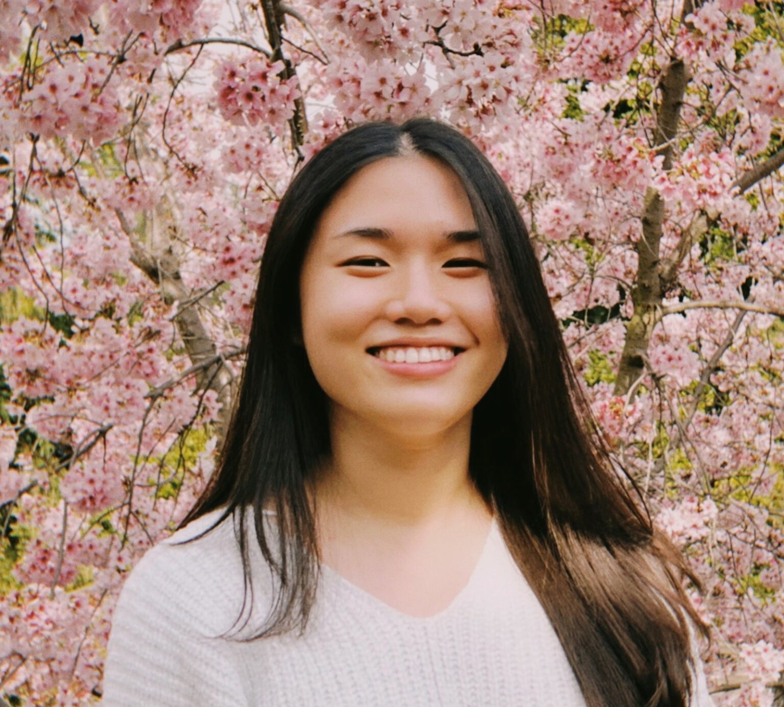 Engineering Living Materials (SSELM) – UC San Diego Materials Research ...