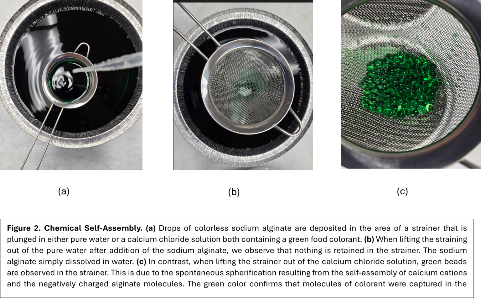 Experimental Self-Assembly – UC San Diego Materials Research Science ...
